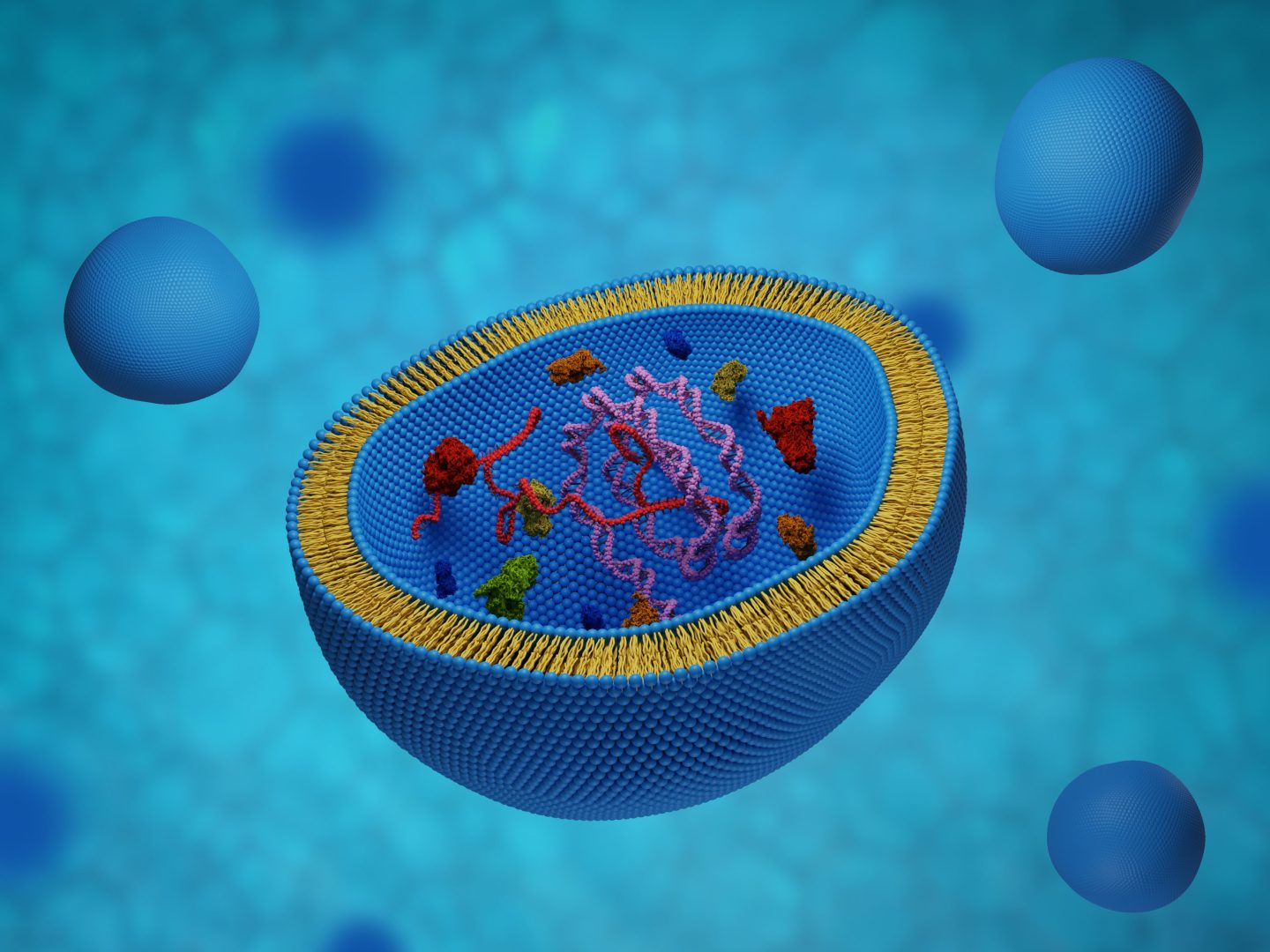 Laboratory of Bio-Inspired Immuno-Gene Therapy