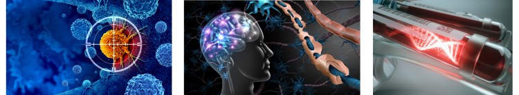 Research – Laboratory of Bio-Inspired Immuno-Gene Therapy